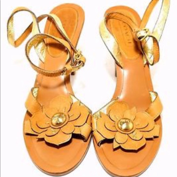 Coach | Shoes | Brand New Coach Daisy Flower Slingback Sandals | Poshmark
